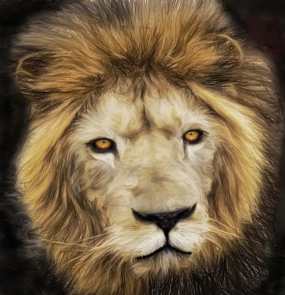 Animal_detection Object Detection Dataset and Pre-Trained Model by YOLO