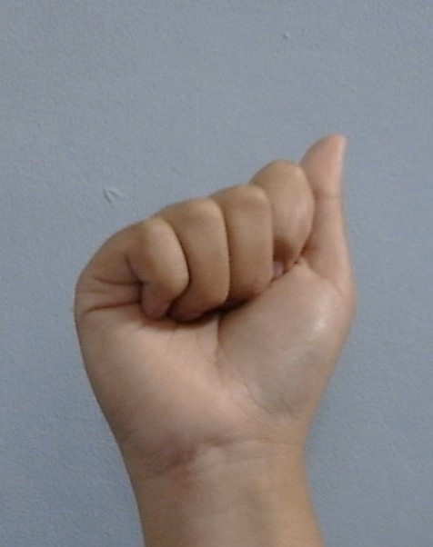 Sign Language Object Detection Dataset and Pre-Trained Model by tugas akhir