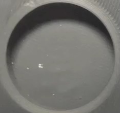 Max Kim (max-kim-x4swm) - Roboflow Universe