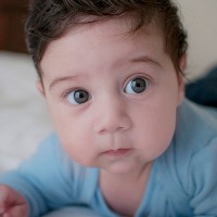 How to Use the Emotion Recognition YOLO v11 FYP 2 Object Detection API