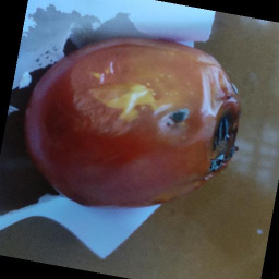 rotten tomato Object Detection Dataset by deep learning