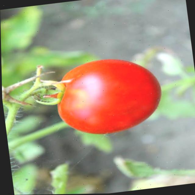 Fyp Object Detection Dataset By Fyp