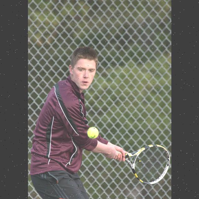 tennis racket Object Detection Model by test