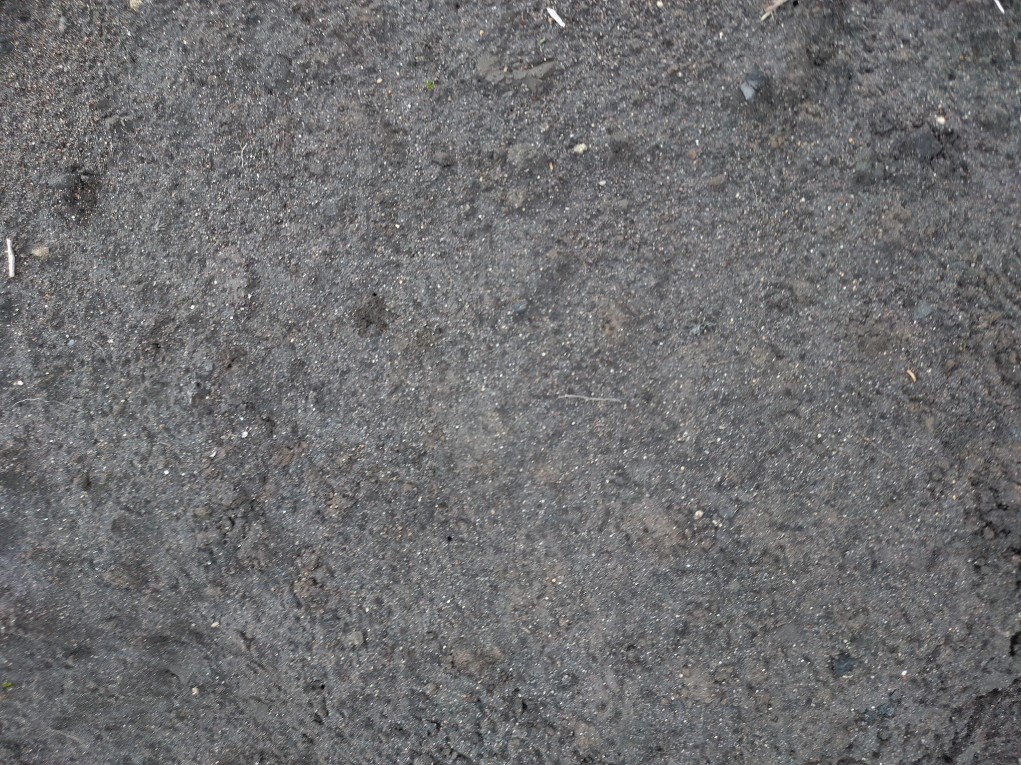 soil detection Classification Dataset and Pre-Trained Model by rudra1103