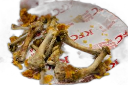 trash classification Object Detection Model by trash classification