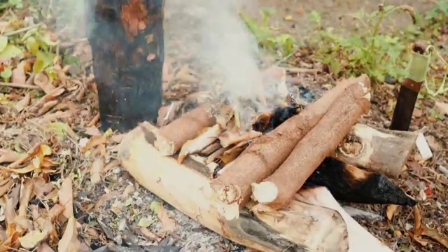 Fire And Smoke Detection Object Detection Dataset And Pre Trained Model By Adelia Dataset