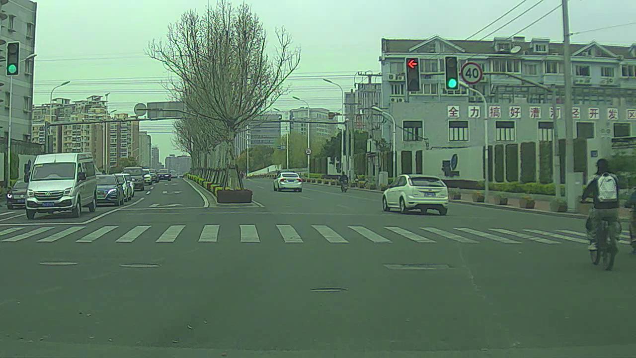 traffic light Object Detection Dataset by Ali Mamedzada