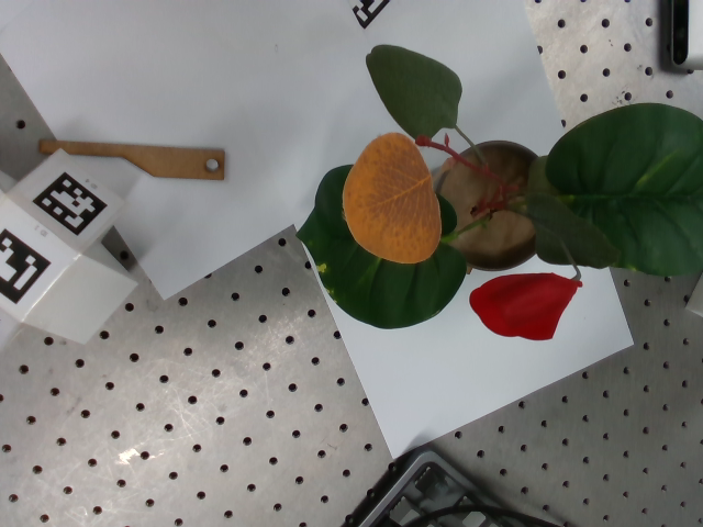 leaf_project_instance Instance Segmentation Dataset by leaf