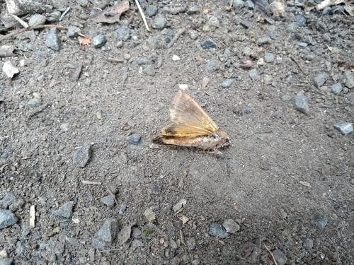 Christian Winkelmann (christian-winkelmann-mg6bb) - Roboflow Universe