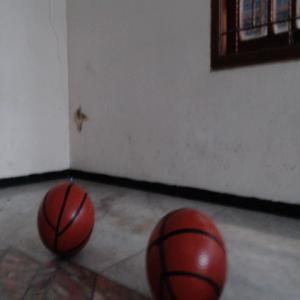 ball_tracking Object Detection Dataset and Pre-Trained Model by Waythus ...