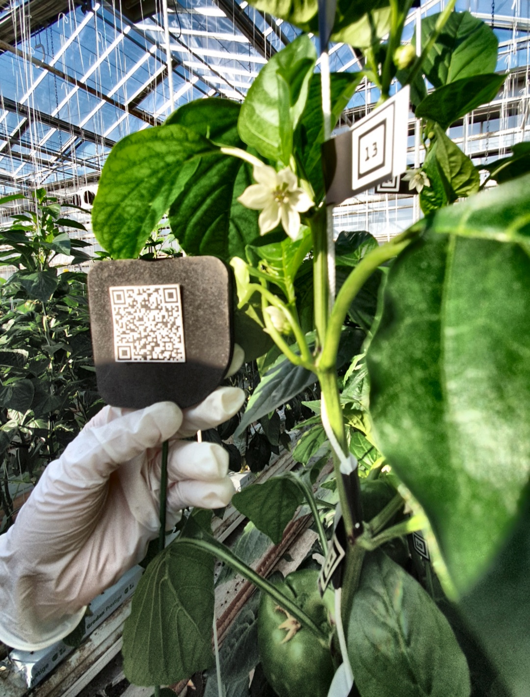 Capstone Model_pre Instance Segmentation Model by Capstone