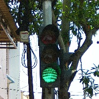 traffic light Object Detection Model by traffic light detection