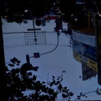 traffic light Object Detection Model by traffic light detection