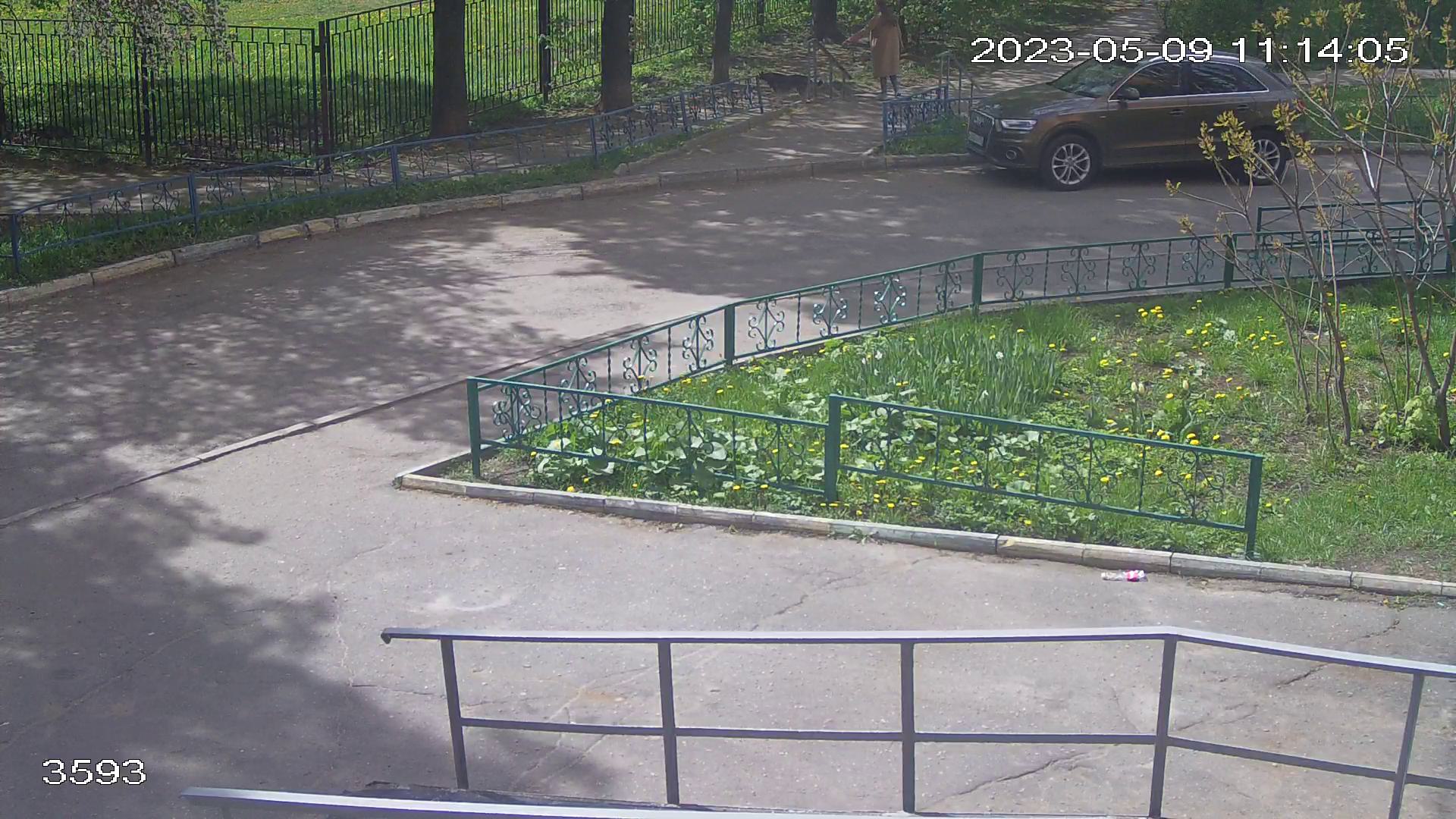 TG_bot_1 Object Detection Dataset by dogsaddcamera