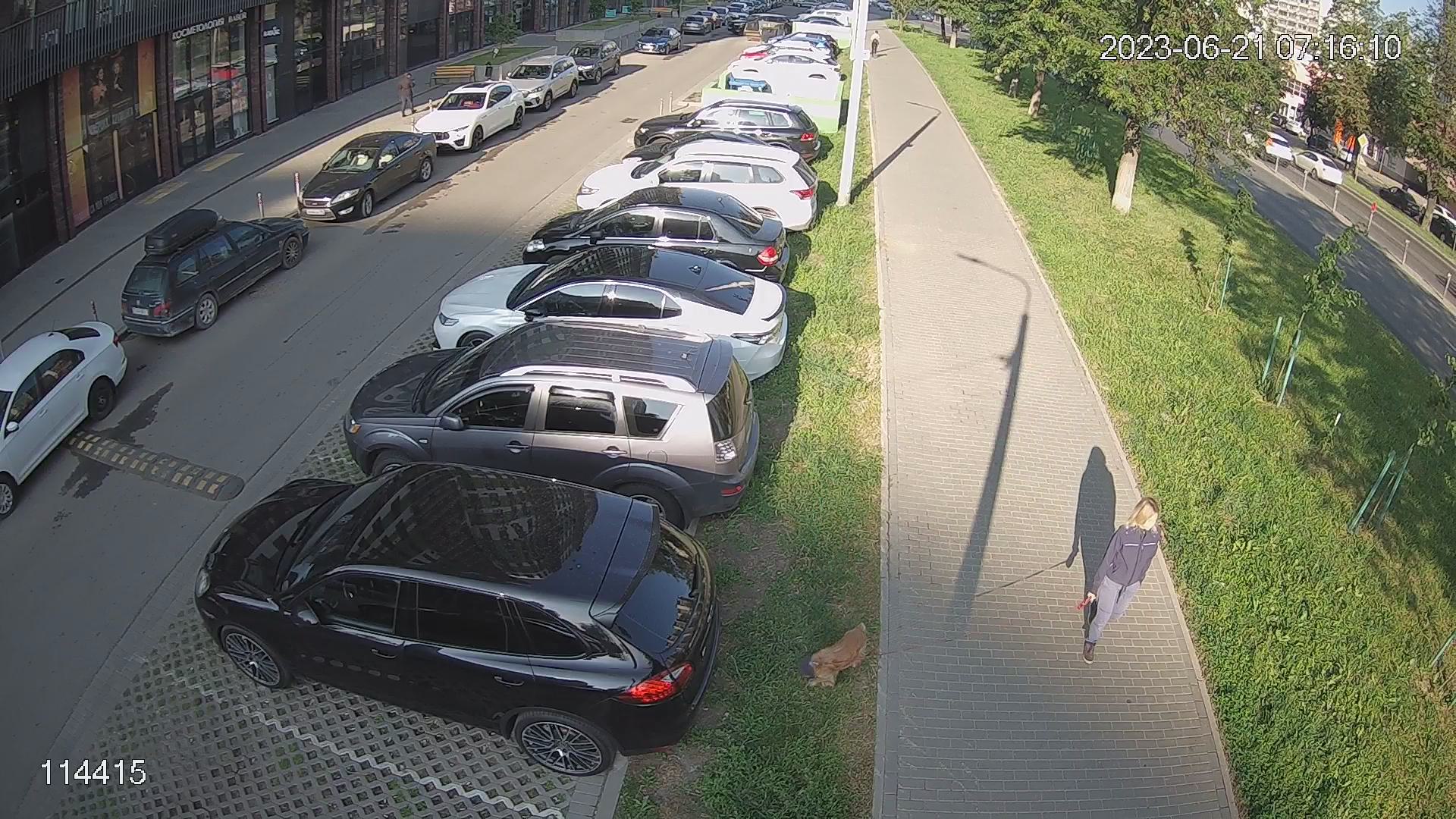 TG_bot_4 Object Detection Dataset by dogsaddcamera