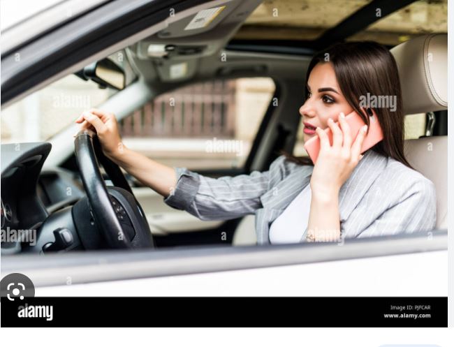 teeest Object Detection Dataset and Pre-Trained Model by PFE