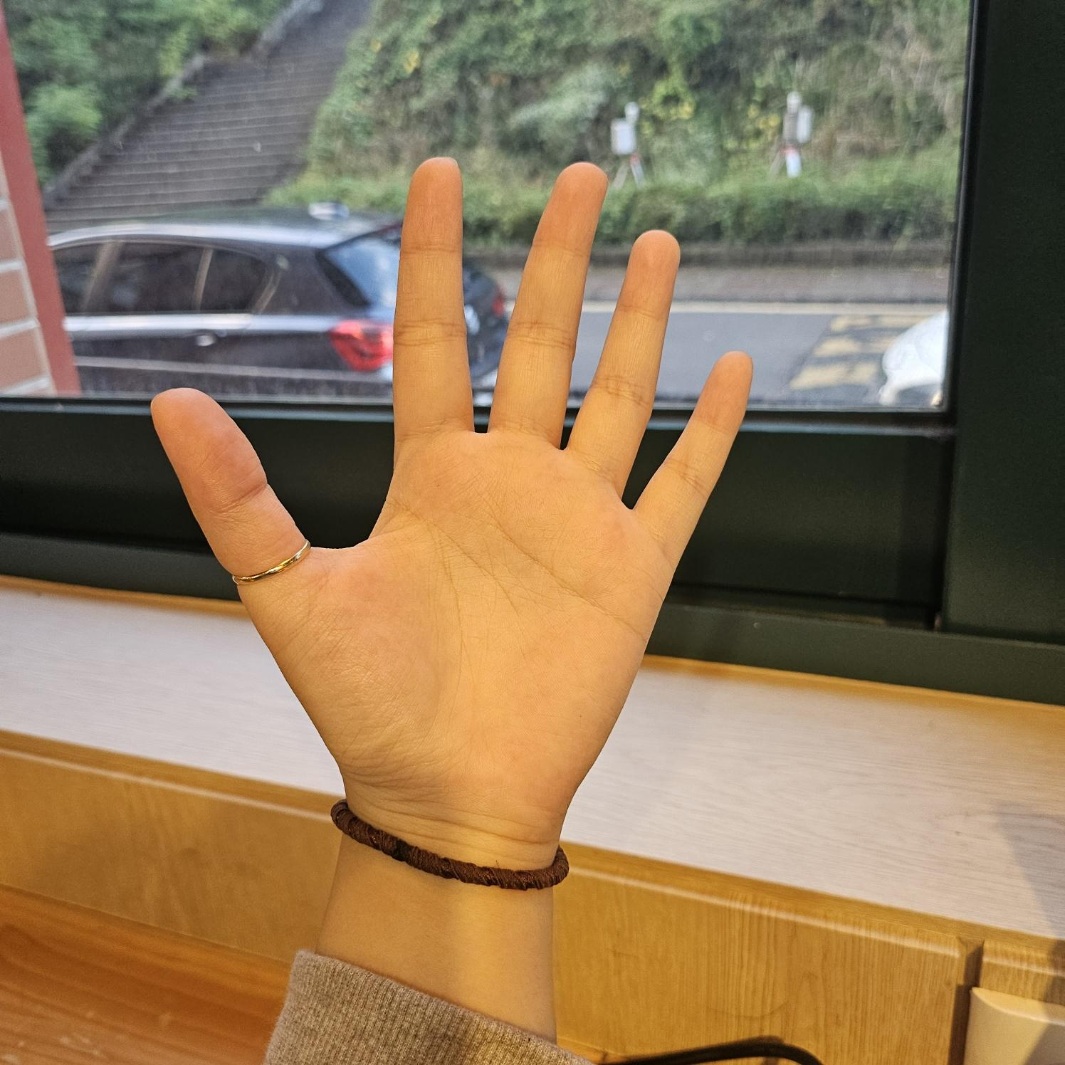 Hand finder Object Detection Dataset and Pre-Trained Model by termPoject