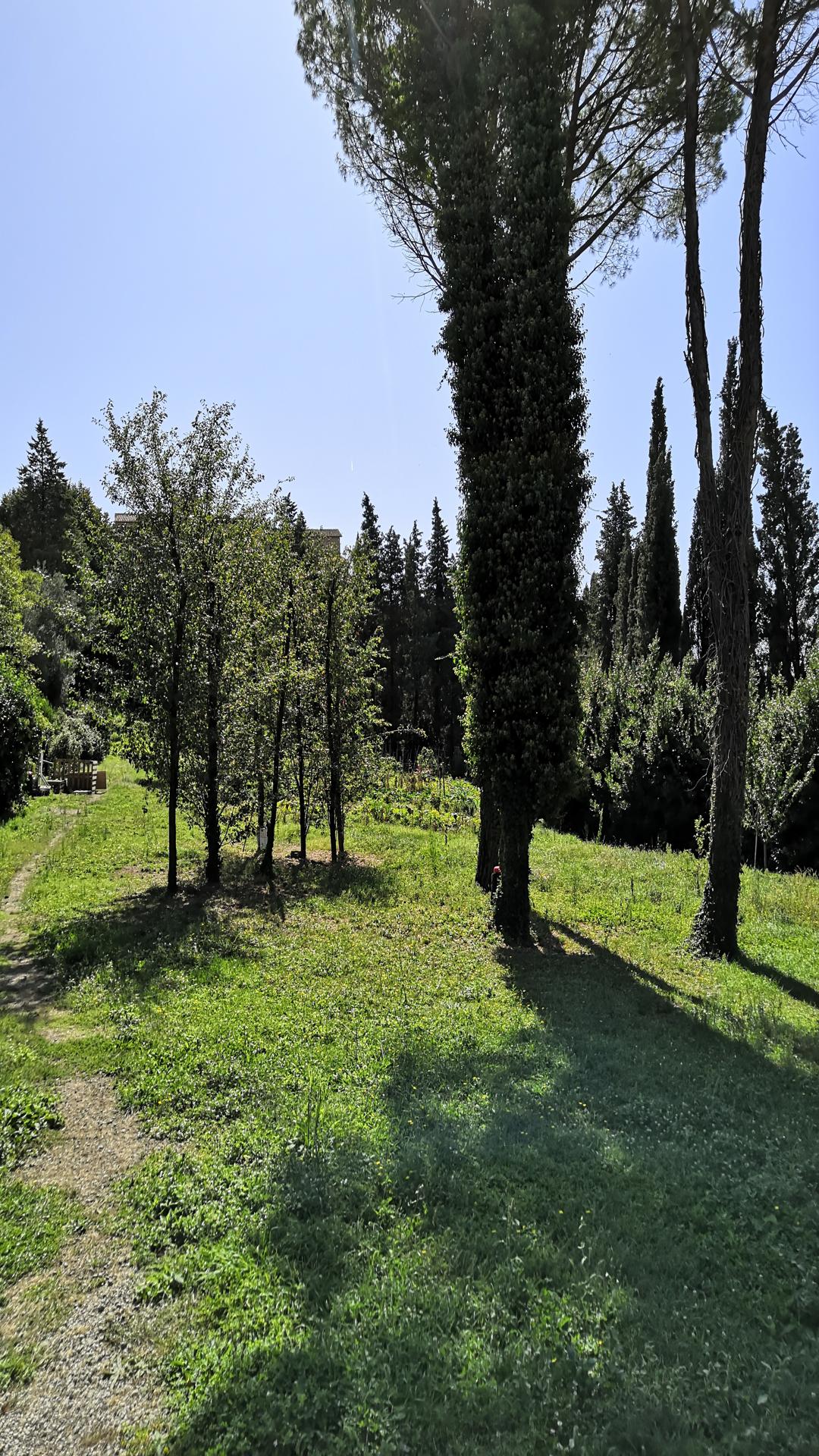 hush Object Detection Dataset by hushworkspace