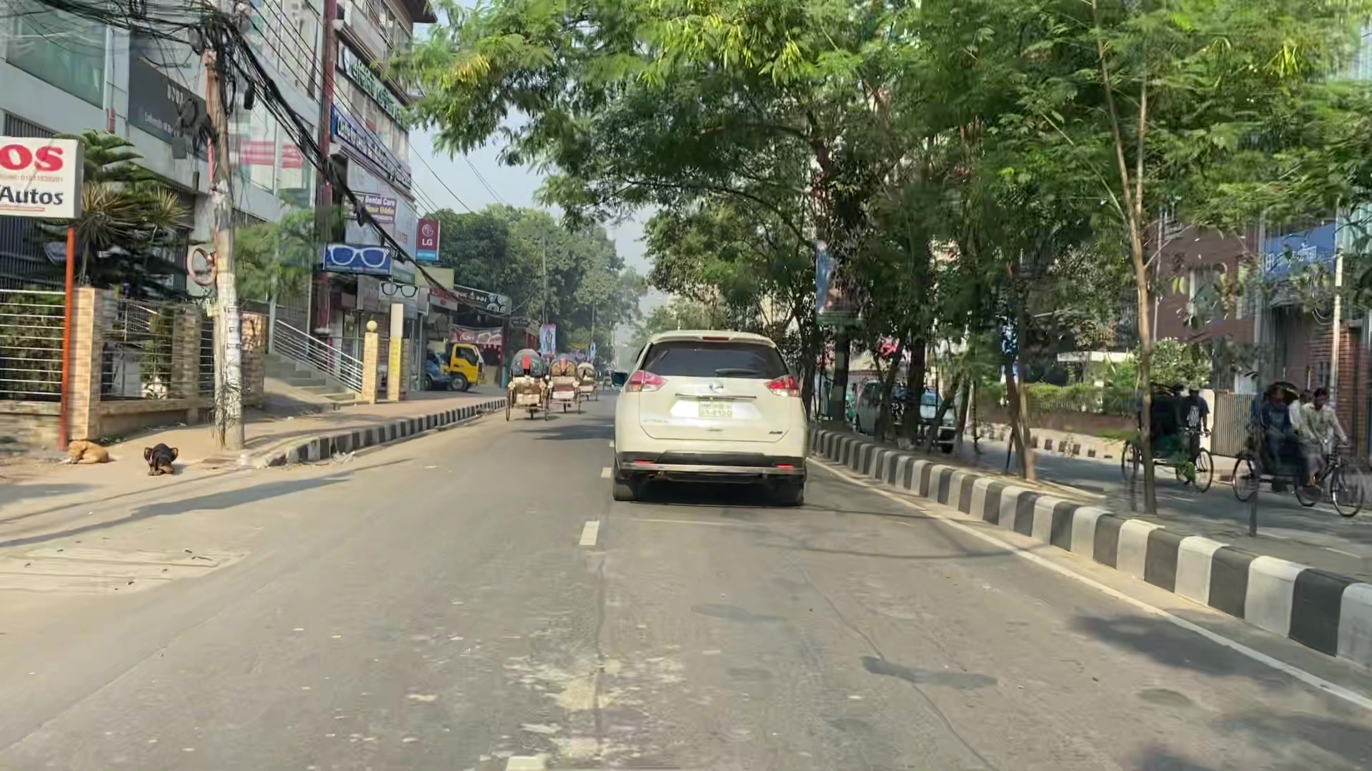 P2_Dhaka_Dataset Object Detection Dataset and Pre-Trained Model by project