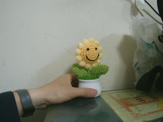 Flower Object Detection Dataset By Youwei