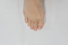 foot object Object Detection Model by wei wei