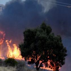 fire spy Instance Segmentation Dataset by 1intern