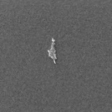 main_valid Classification Dataset by Jayoon Gu