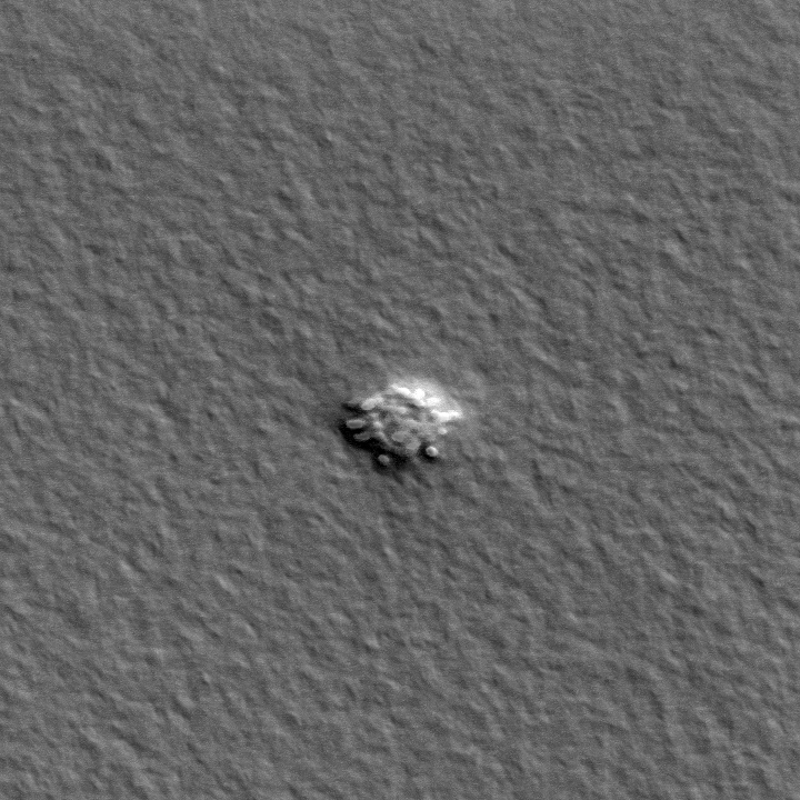 main_sampled Classification Dataset by Jayoon Gu