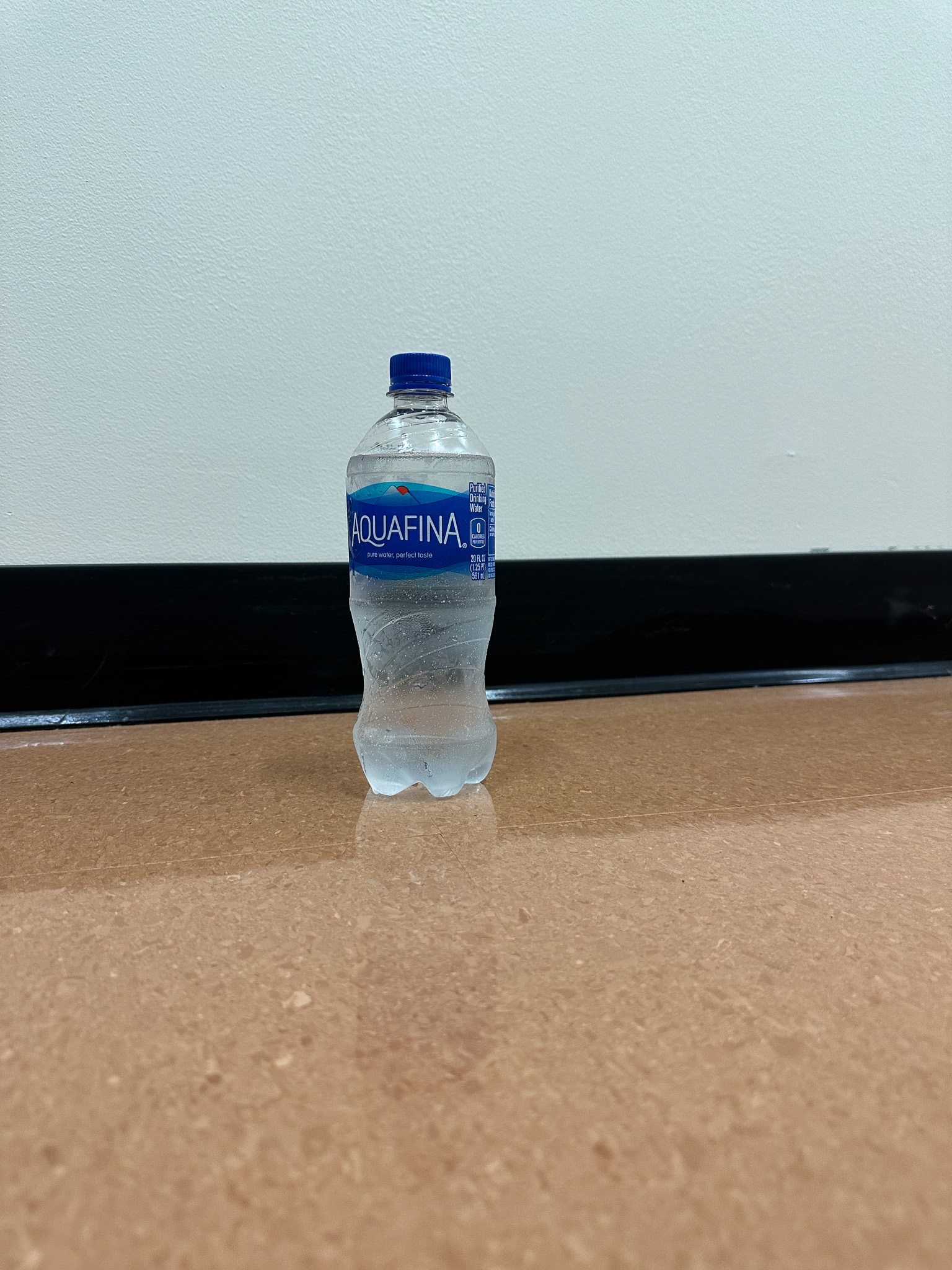 How to Use the Water Bottle Object Detection API