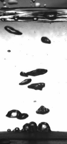 Bubble Object Detection Model by METL