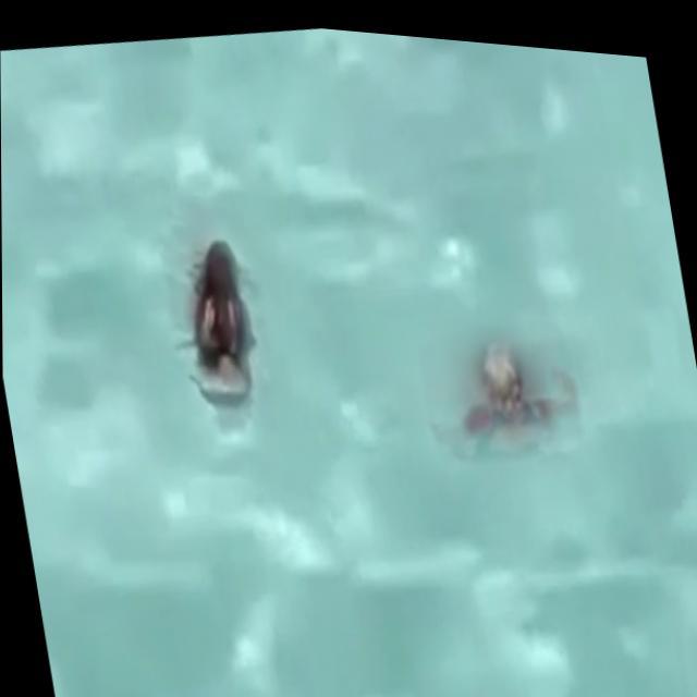Testdataset Object Detection Dataset By 3eye