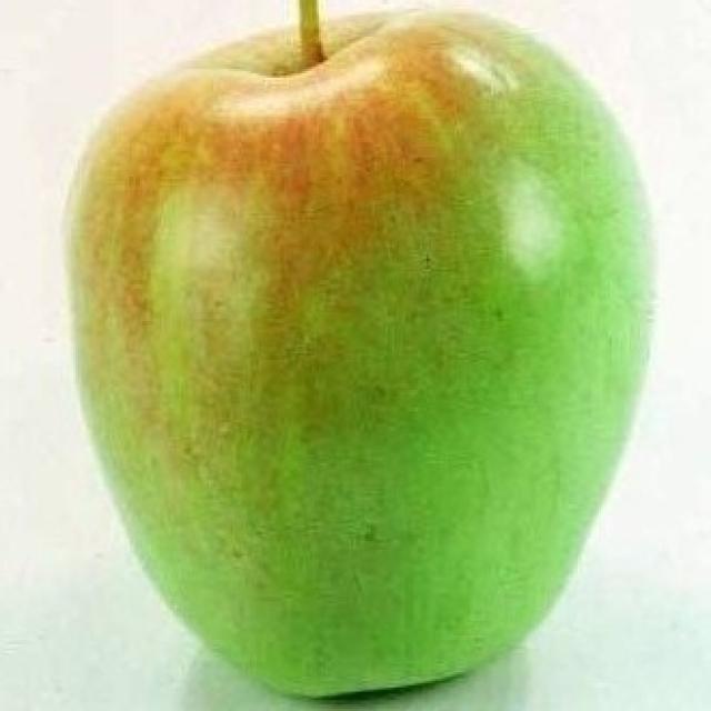 apple-20 Object Detection Dataset by Zephiron