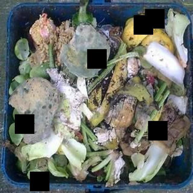 waste classification Classification Model by Waste segregation