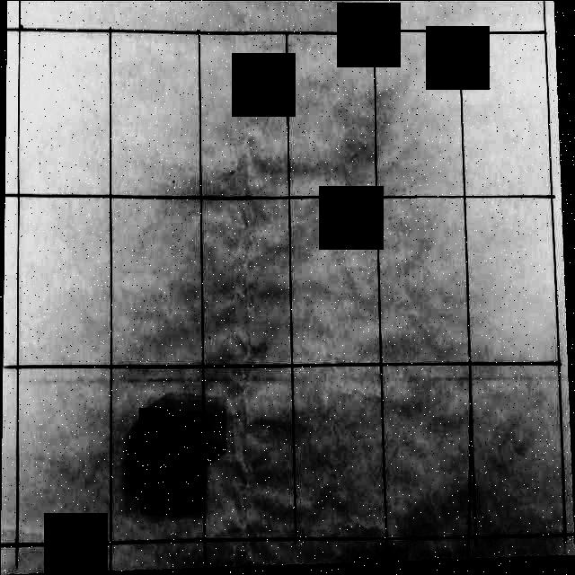 boar_grid Object Detection Dataset and Pre-Trained Model by upm