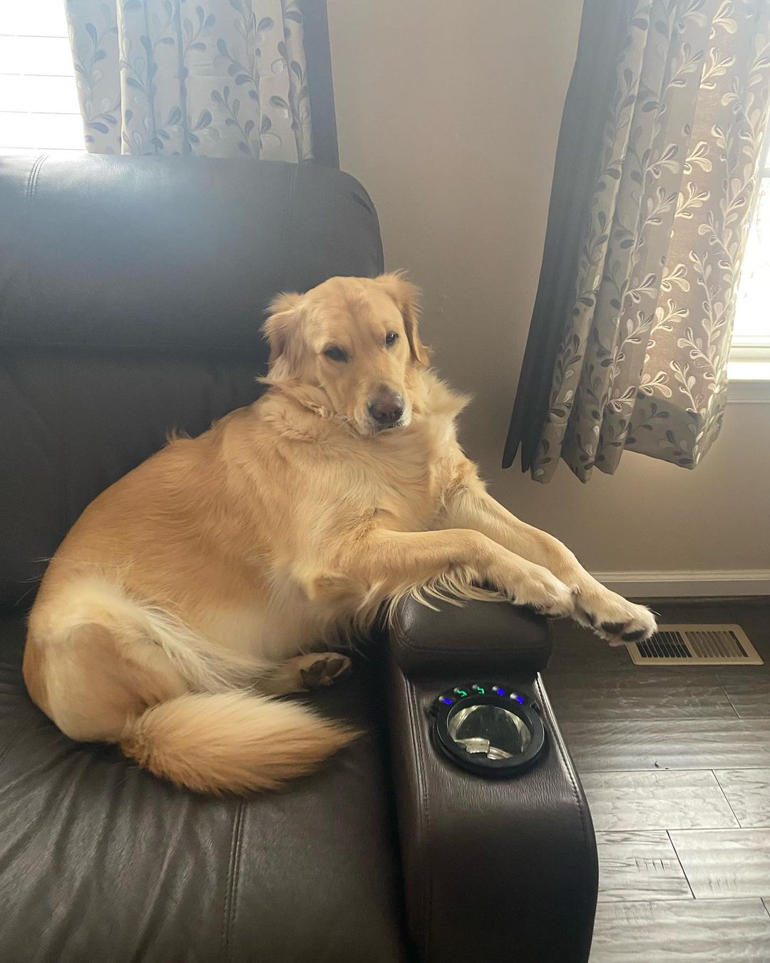 Dog emotion (dog-emotion-gdbjy) - Roboflow Universe