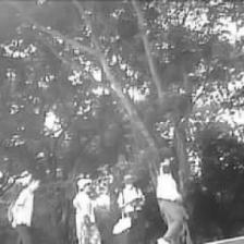 DETECT Object Detection Dataset by ALERT