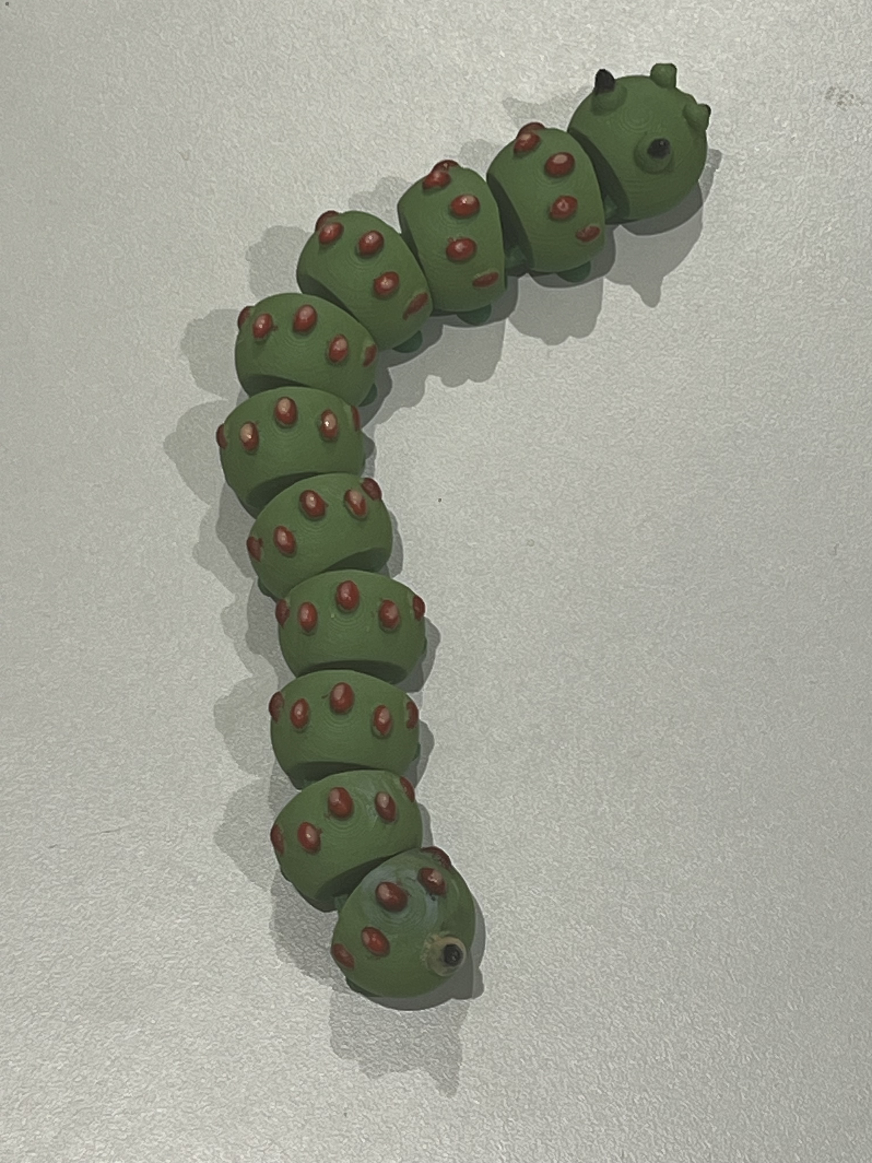 REEF (reef-dkbzb) - Roboflow Universe