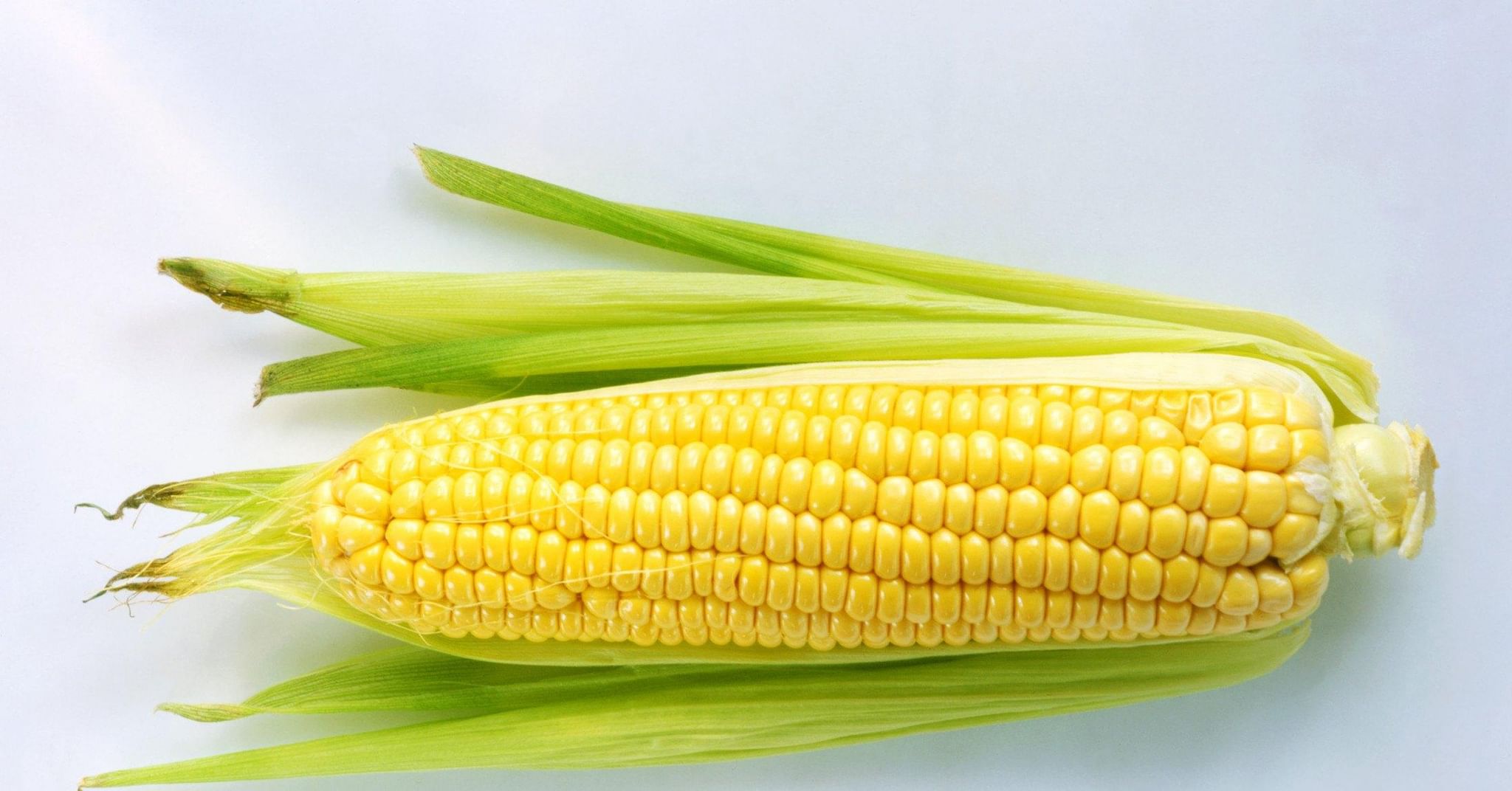 artem (artem-8tgtp) - Roboflow Universe