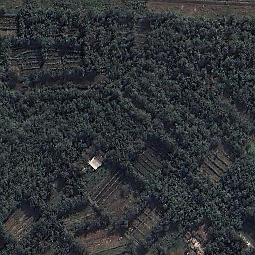 Segmentation Aerial Image Instance Segmentation Model by Viteeks