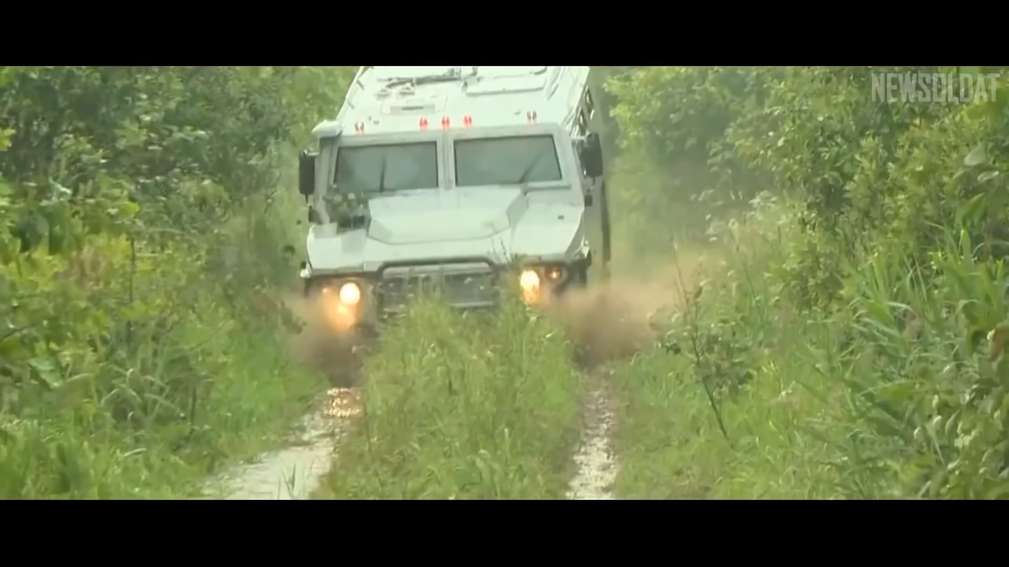 Tiger Object Detection Model by workspace