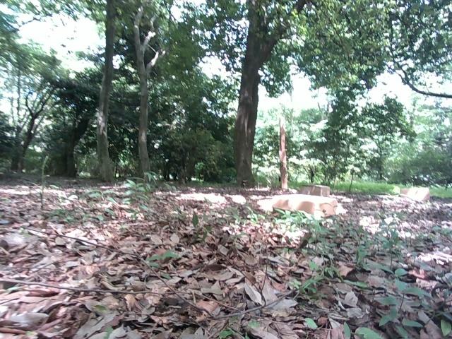 silpakorn - Roboflow Universe