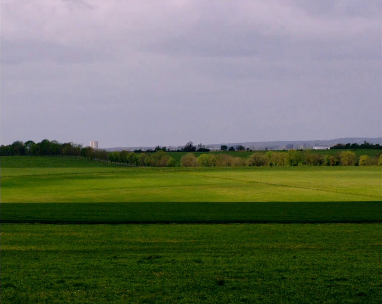 carottedours Object Detection Dataset and Pre-Trained Model by Luap