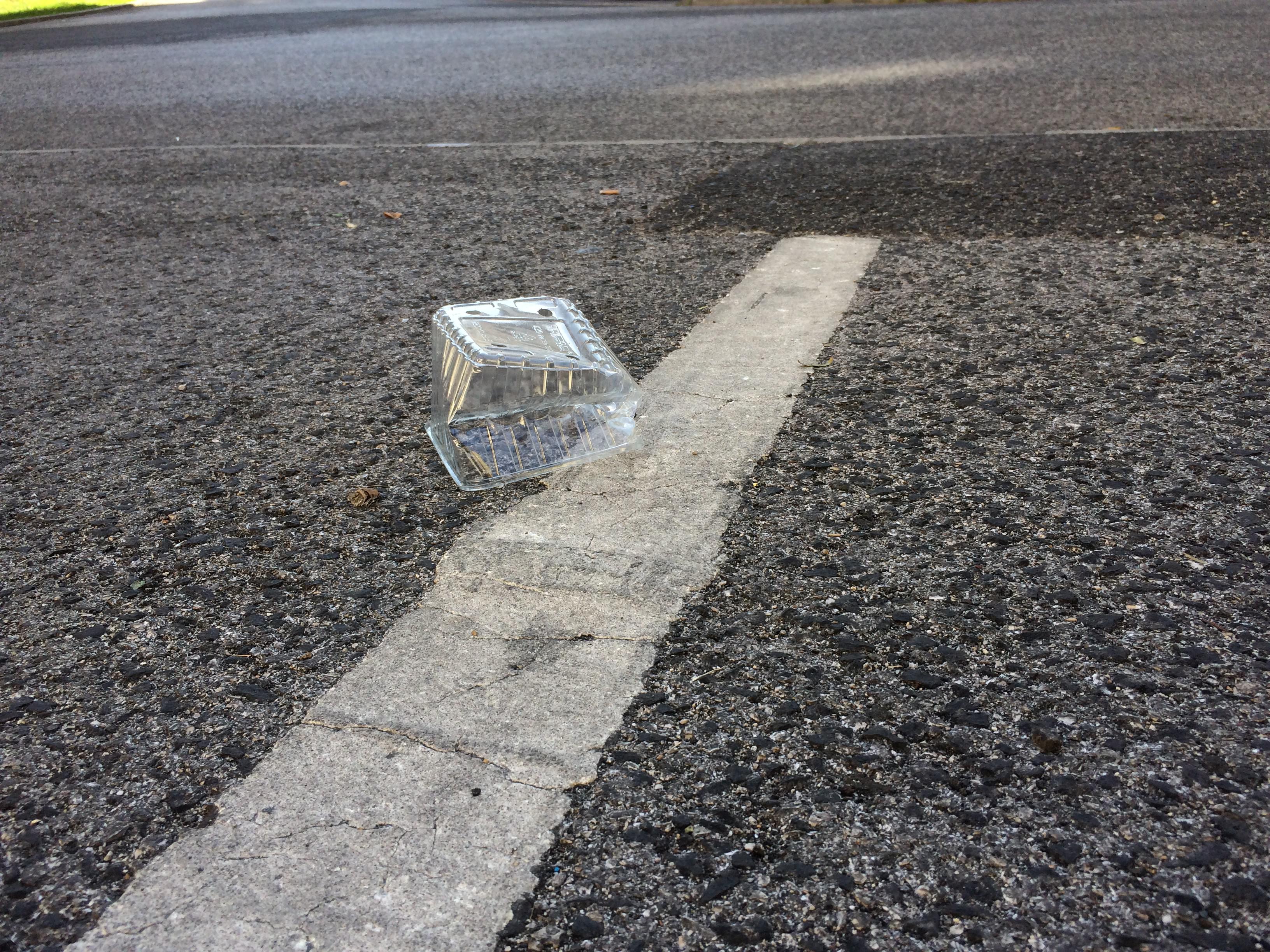 Trash Detection Object Detection Dataset by Henry