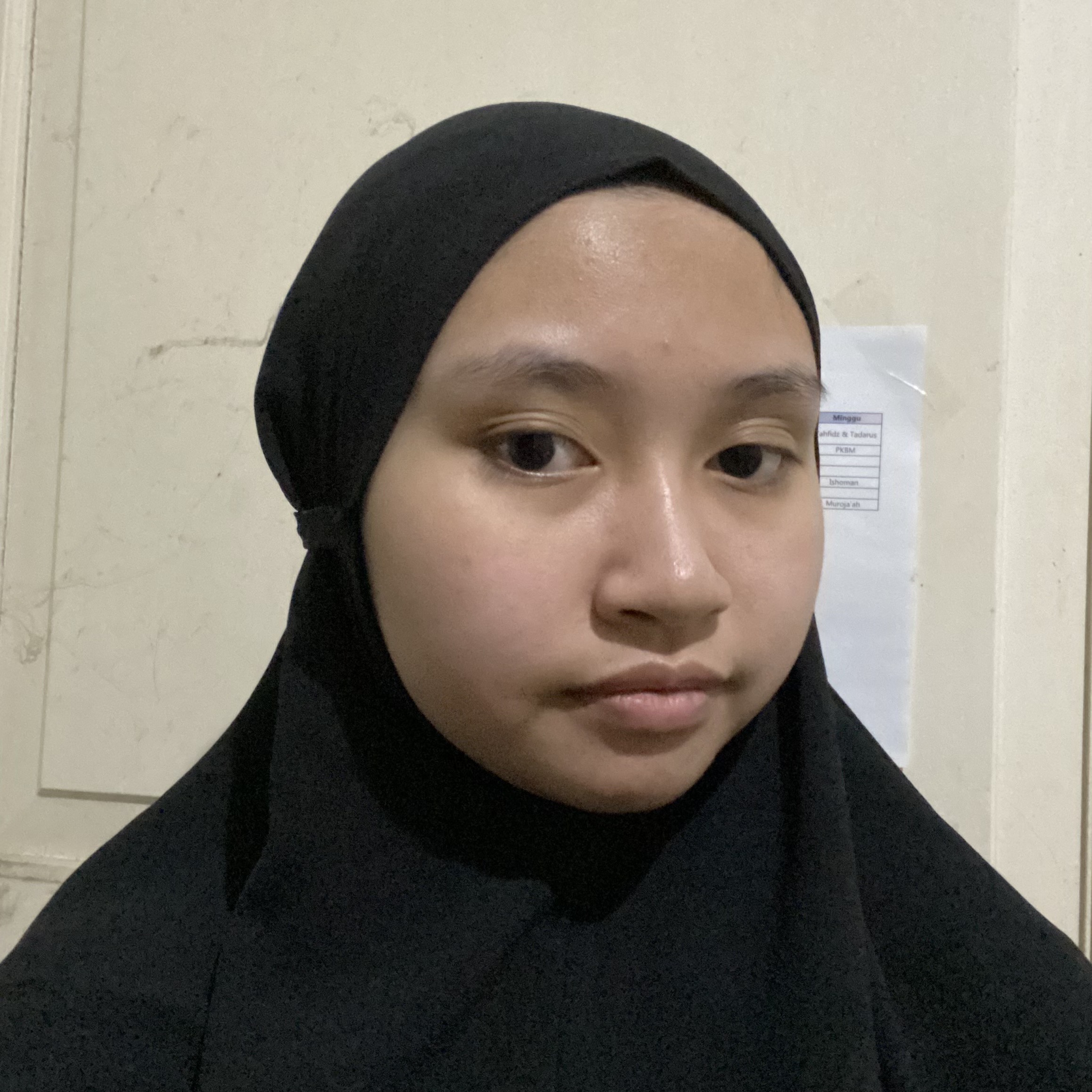 Maisya Project Roboflow Universe