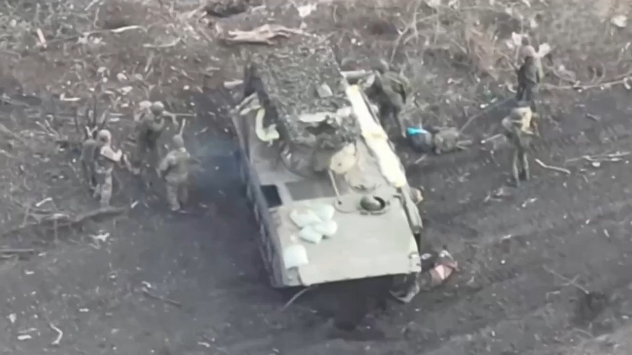 Krasilnik Ivan - Roboflow Universe