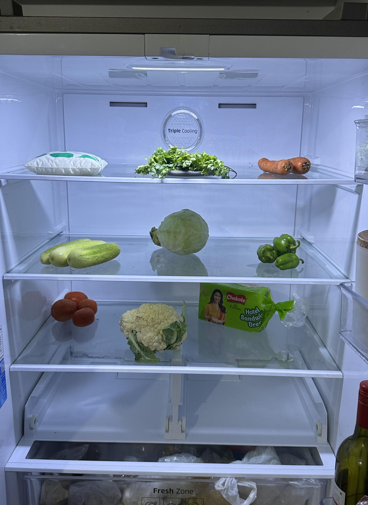 Combined dataset 2 Object Detection Dataset by fridgeproject