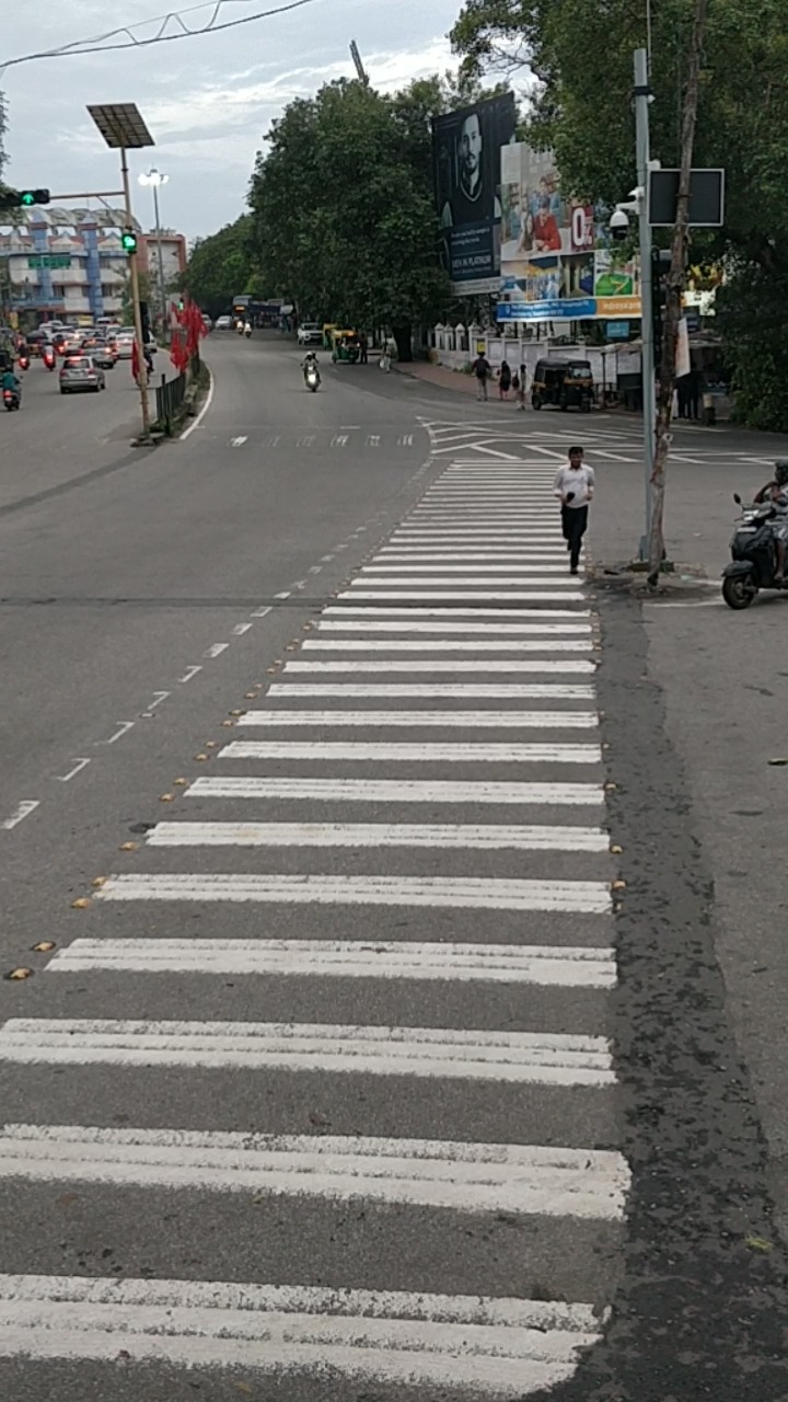 InstanceSeg_video Instance Segmentation Dataset by Zebra Crossing Detection