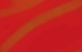 How to Use the HSV_Black_Spots_Detection Object Detection API