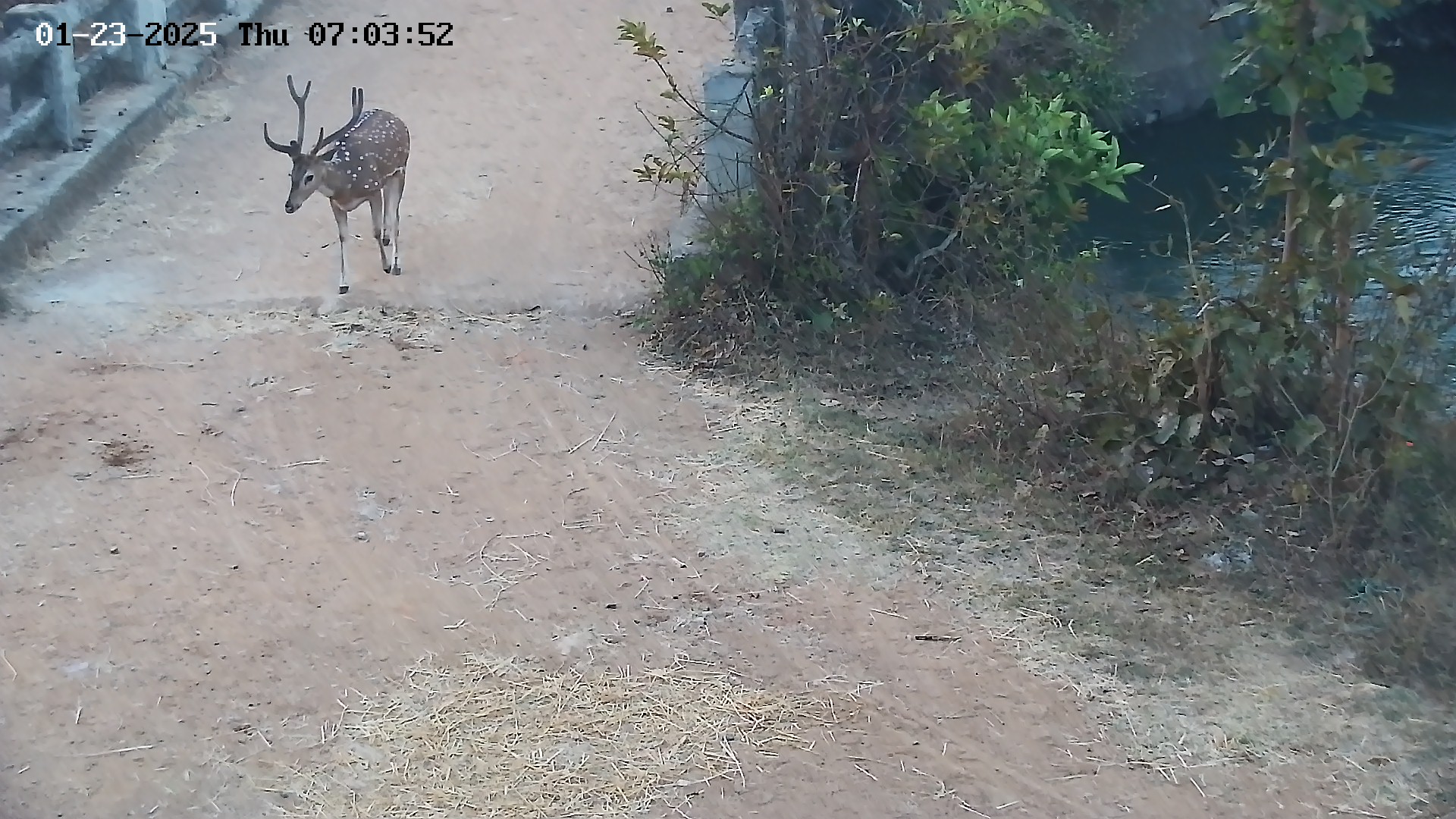 addon_v5 Object Detection Dataset by AI model