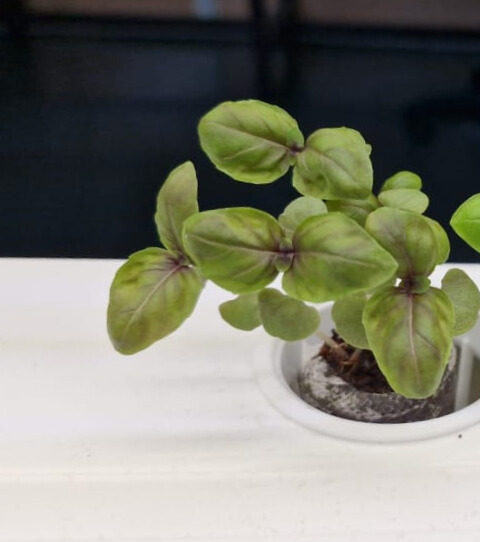 small Object Detection Dataset by classify